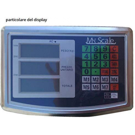 Balance bascule numérique électronique 300 kg avec écran LCD